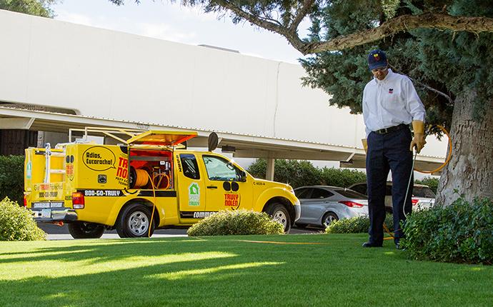 The Benefits Of Eco-Friendly Pest Control For Your Colorado Property