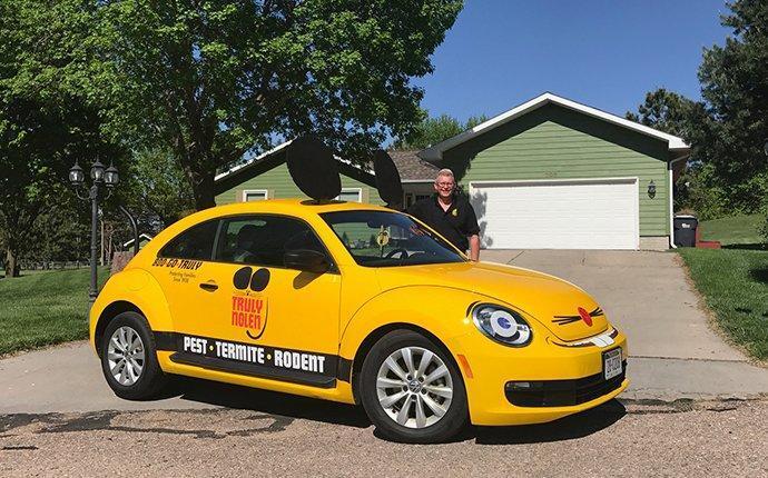 A Handy Guide To Starting A Pest Control Company In Texas
